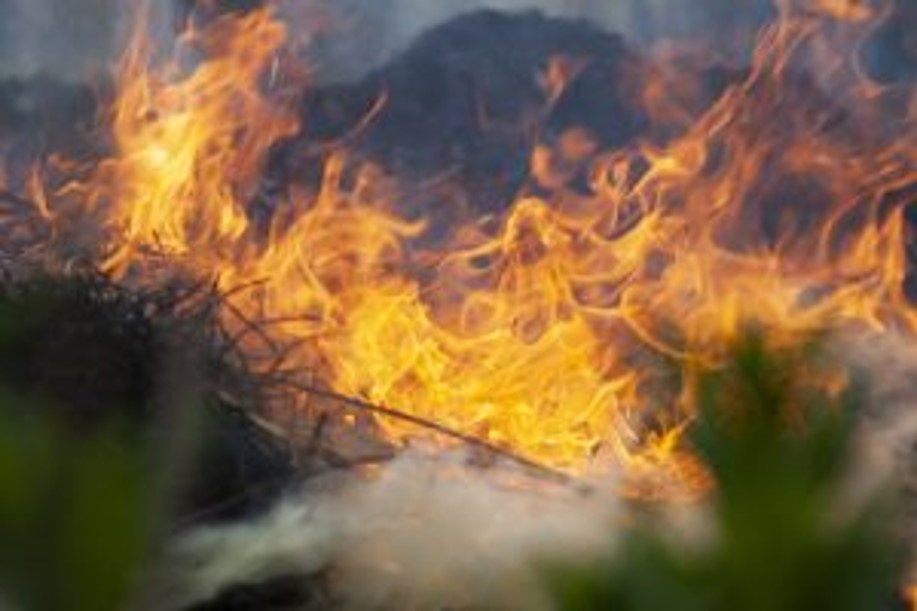 Calan Mai – Beltane | The EXARC Journal